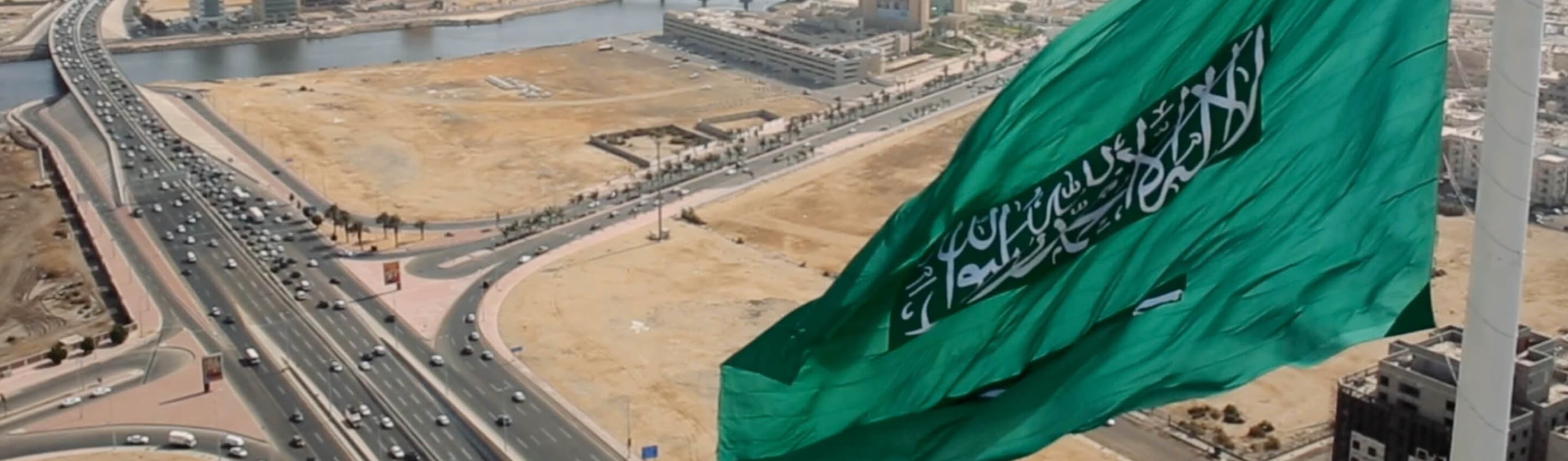 Group | Tamer Group | KSA
